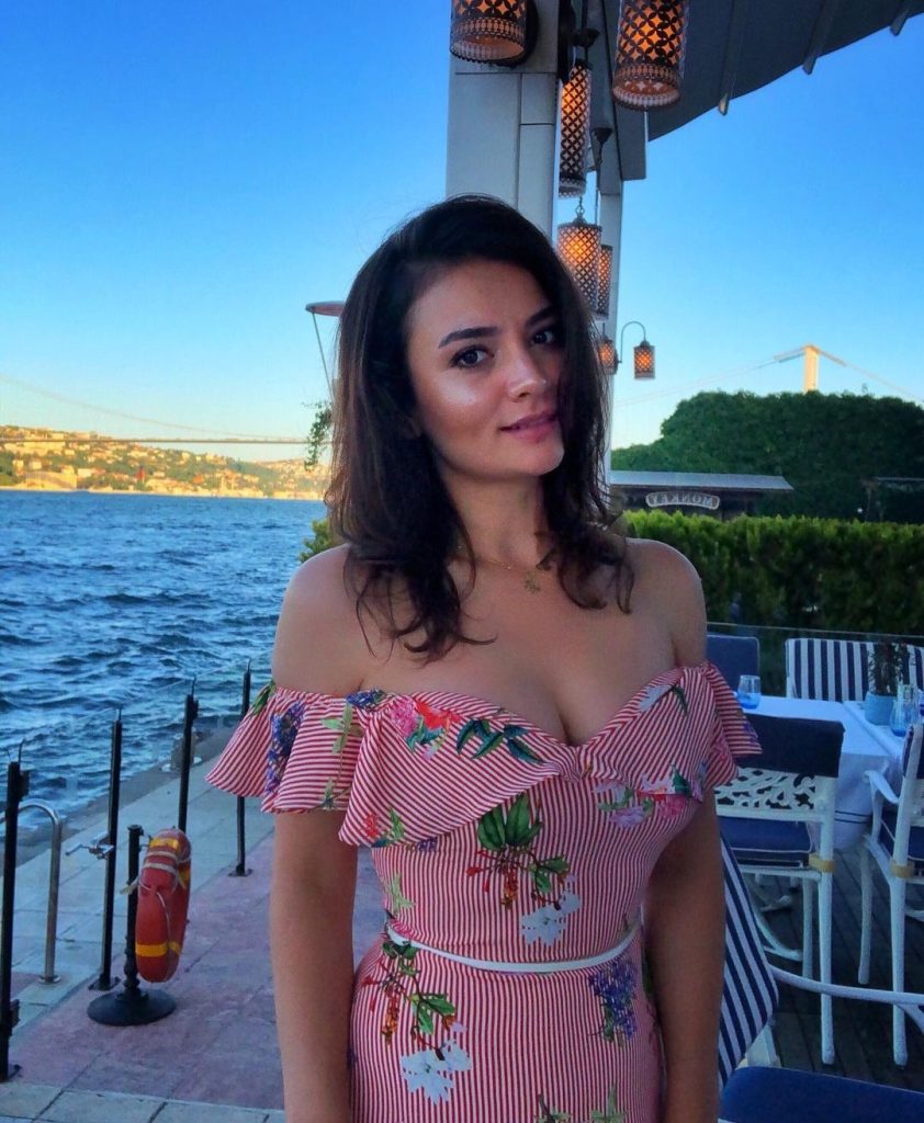 Teşkilat Dizisi Oyuncuları Kadrosu ve Karakterleri (Yeni Gelenler Dahil)